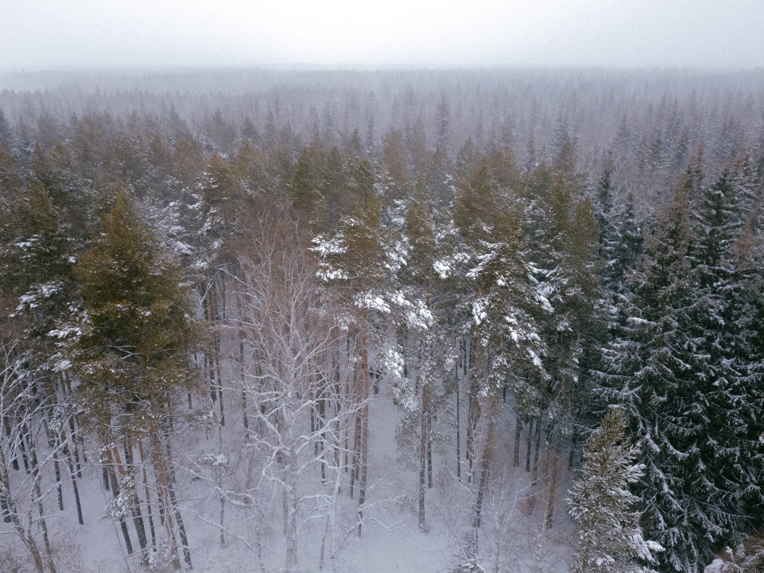 Can You Fly A Drone Below Freezing? - DroneKiri